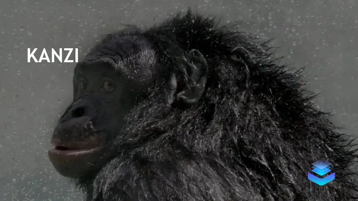 Kanzi, the Bonobo Who Bridged Language and Games, Passes at 44