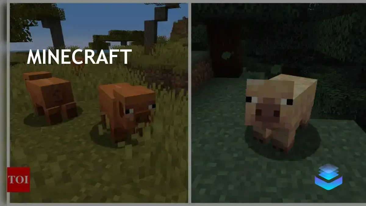 Minecraft Snapshot Unveils New Pig Variants in Different Biomes