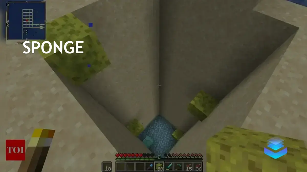 Sponge: Essential for Gamers in Minecraft Ocean Monuments