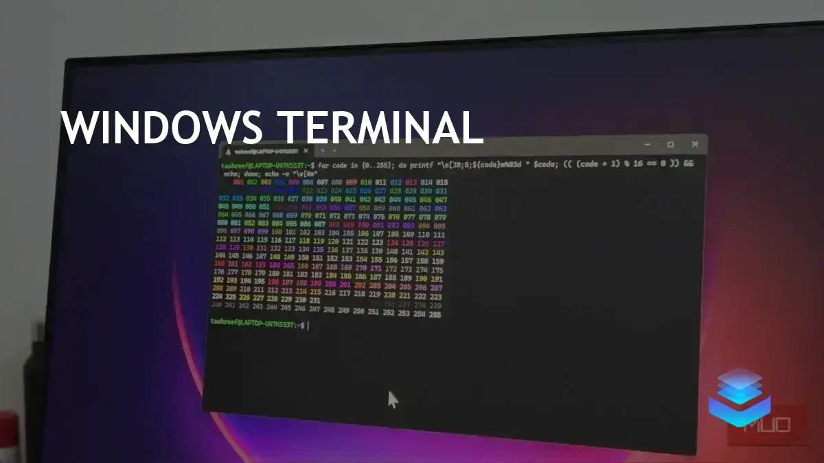 Windows Terminal Enhances Productivity in Windows 11